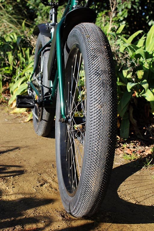 eZee E-Rex Fat Electric Bike - Action Bicycle Club